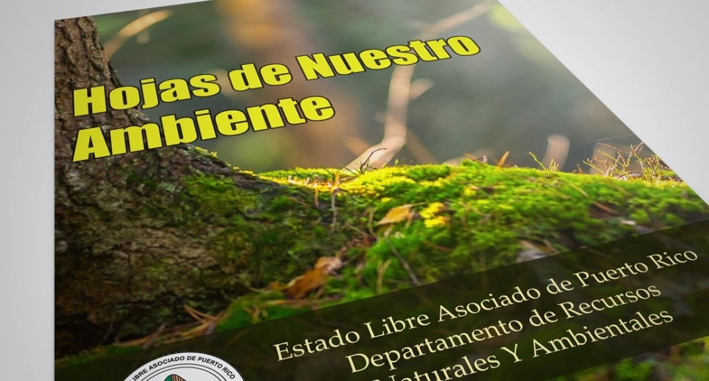 DRNA | Los árboles (Hojas de nuestro ambiente)