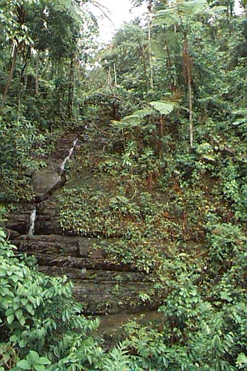 DRNA | Plan Integral de Recursos de Agua de Puerto Rico