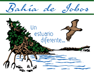 DRNA | Navega por el ambiente